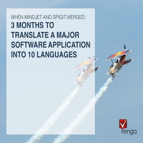 Software Translation Case Study | PDF