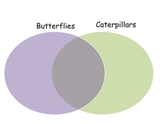 Balancing butterflies picture | DOCX