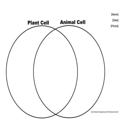 Venn Diagram Plant vs. Animal Cell | DOCX