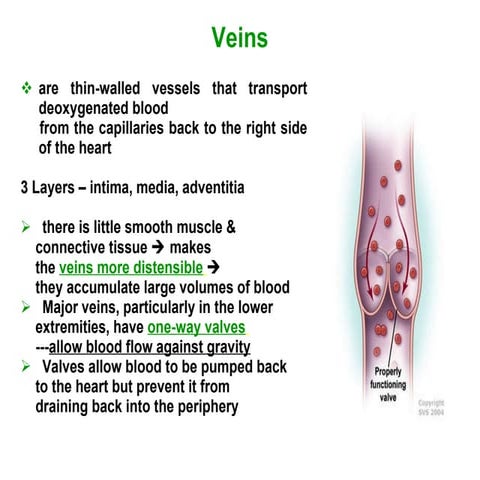 Venous Disorders | PPT