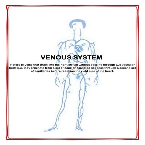 Venous system | DOCX
