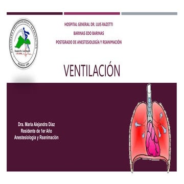 ventilación pulmonar. Sistema respiratorio | PPTX