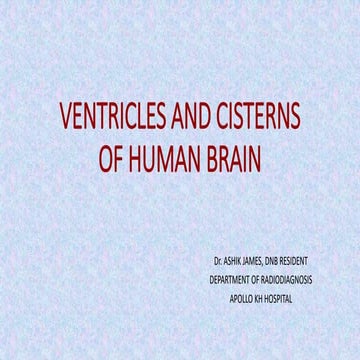 cerebral cisterns for radiology dnb .pptx