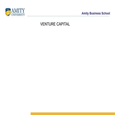 Venture Capital_Amity.ppt........................... | PPT