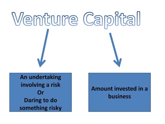 What is Venture? Types and Importance of Venture | PPT