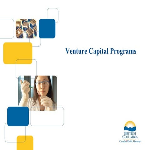 Venture Capital Programs (Basic) | PPT