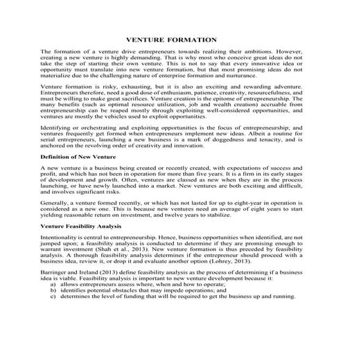 VENTURE FORMATION.docx