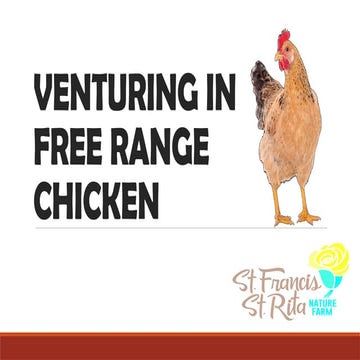 Native chicken production in the philippines | PPT