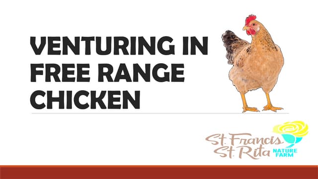 Broiler SBA.docx for agricultural science csec | DOCX