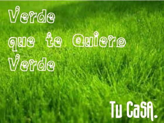 Pp01 a assignment | PDF