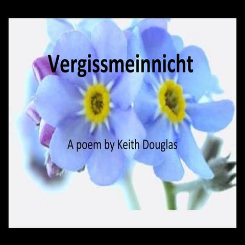 Vergissmeinnicht | PPT