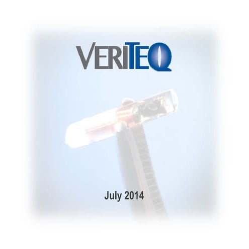 VeriTeQ Presentation at the Global Online CEO Conference July 2014 | PPT