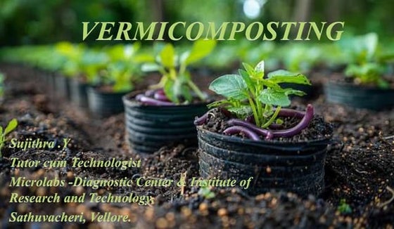 Vermicomposting | PPTX | Agriculture | Industries