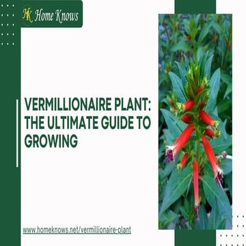 Vermillionaire plant The Ultimate Guide to Growing.pdf