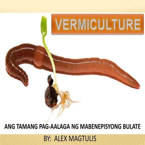 Vermi Presentation | PPTX