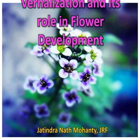 Vernalin and its role in flower development | PPTX