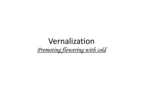 Vernalization | PPTX
