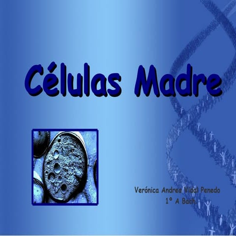 Células madre | PPTX