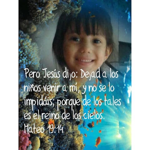 Versículos Bíblicos | PPTX | Christianity | Religion & Spirituality