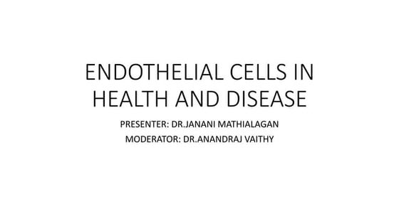 Endothelial vs. Epithelial Cells: A Comparative Insight into Cellular ...