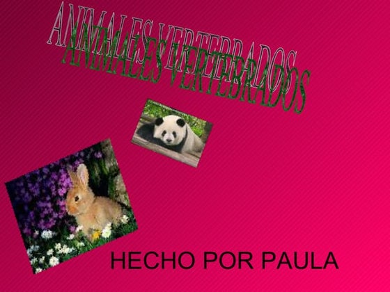 Animales vertebrados. rosa torres sánchez | PPT