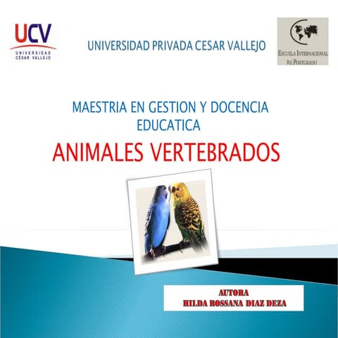 LOS ANIMALES VERTEBRADOS | PPT