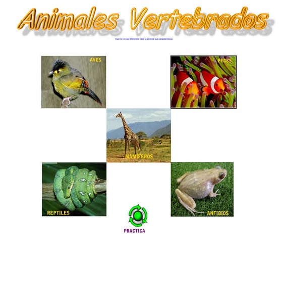 Los Vertebrados | PPT
