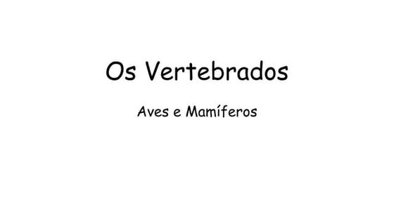 Bullseye coverageerror | TXT