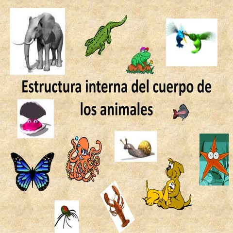 Vertebrados e invertebrados | PPT