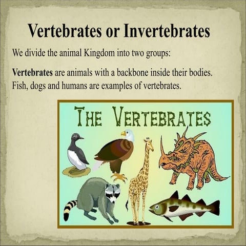 Animal classification vertebrates 5th grade | PPT