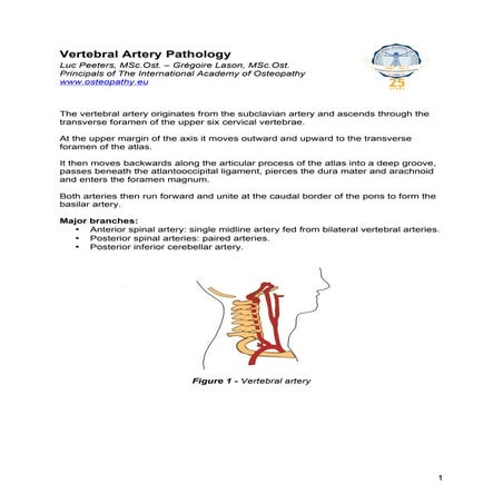 Cervical Vertebral Artery Test