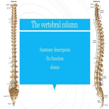 Vertebral column | PPTX