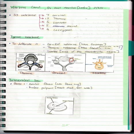 Vertebral Column Lecture | PDF