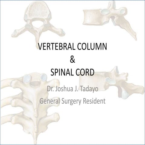 VERTEBRAL COLUMN + SPINAL CORD.pdf