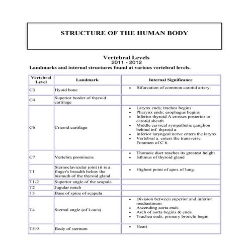 Vertebral levels | PDF