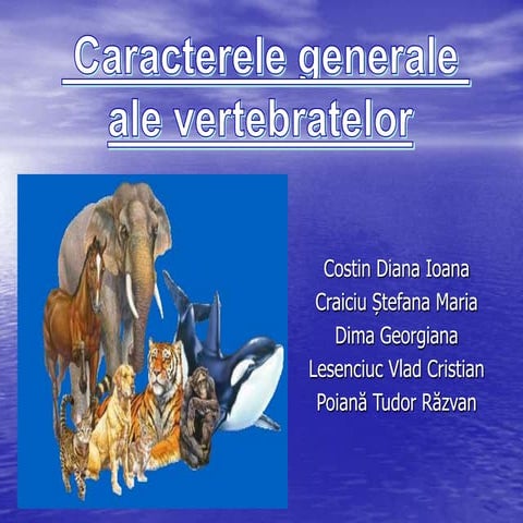 Vertebrate | PPTX