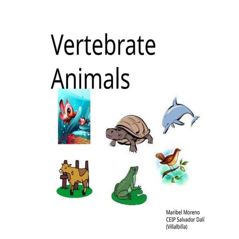 vertebrate-animals-fun-activities-games_37042.pptx