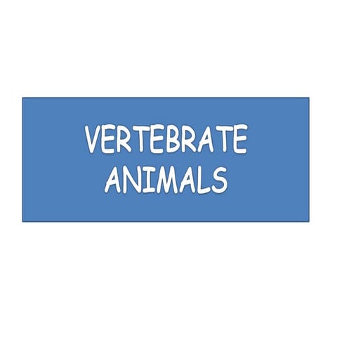 Vertebrate animals | PPT