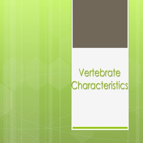 Vertebrate characteristics | PPTX