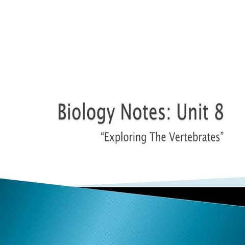 Vertebrate notes | PPTX