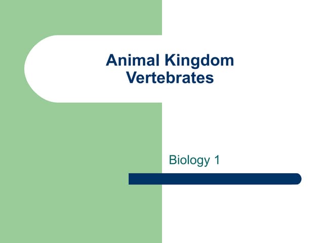 Vertebrates Powerpoint | PPTX