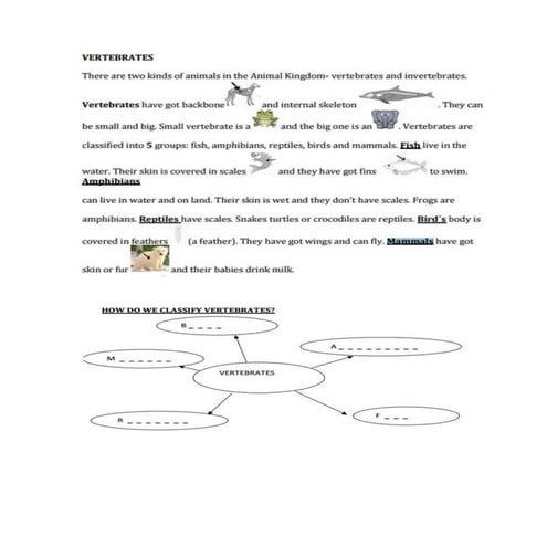 Vertebrate Animals | PDF