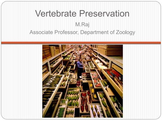 Collection & Preservation of Animal Specimens | PDF | Alcoholic ...
