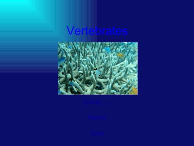 Vertebrates | PPT