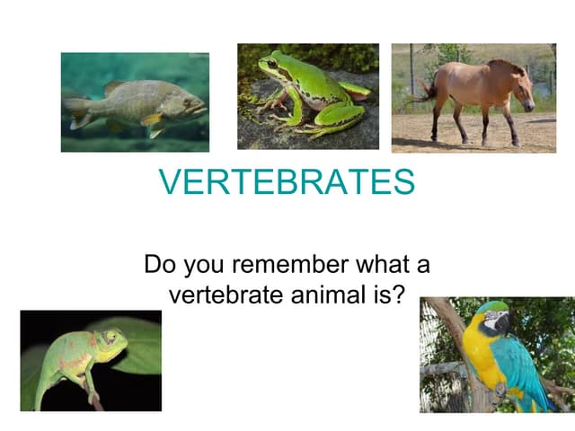 Q2Wk5 Science 6 vertebrates animal day 1.pptx