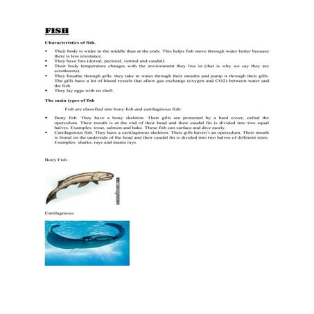 Vertebrates/FISH | DOCX