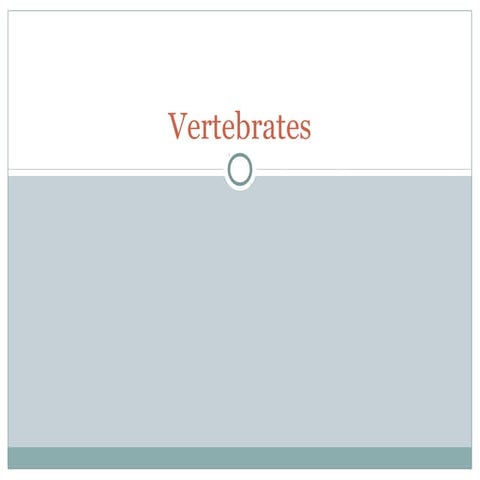Vertebrates | PPT