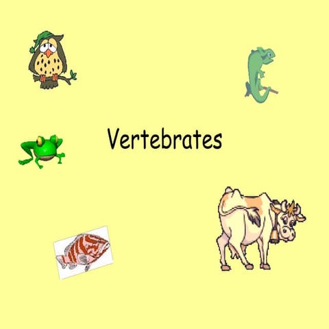 Vertebrates | PPT