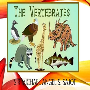 Vertebrates | PPT
