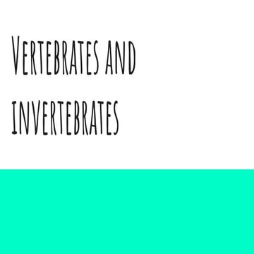 Vertebrates and invertebrates | PPTX